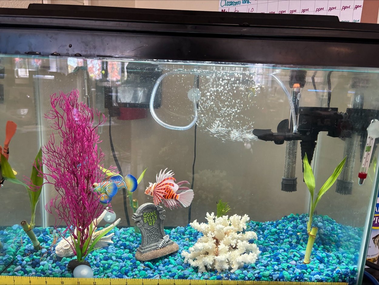 Engaging Middle School Students in Deeper Learning with Career ...